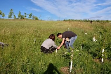 Events | Downsview Park