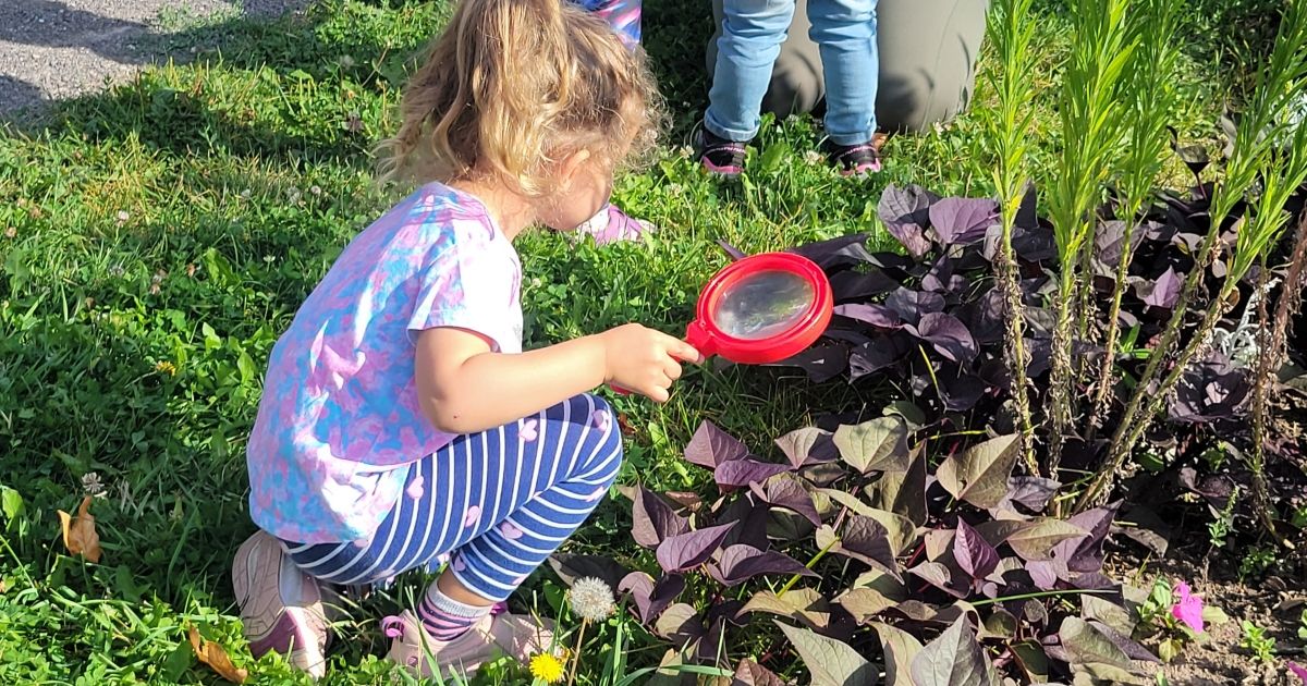 Jr. Forest Explorers: Art in the Park | Downsview Park