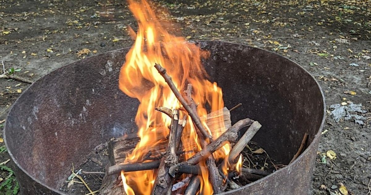 Nature Connection: Bonfire Program – food around the fire | Downsview Park